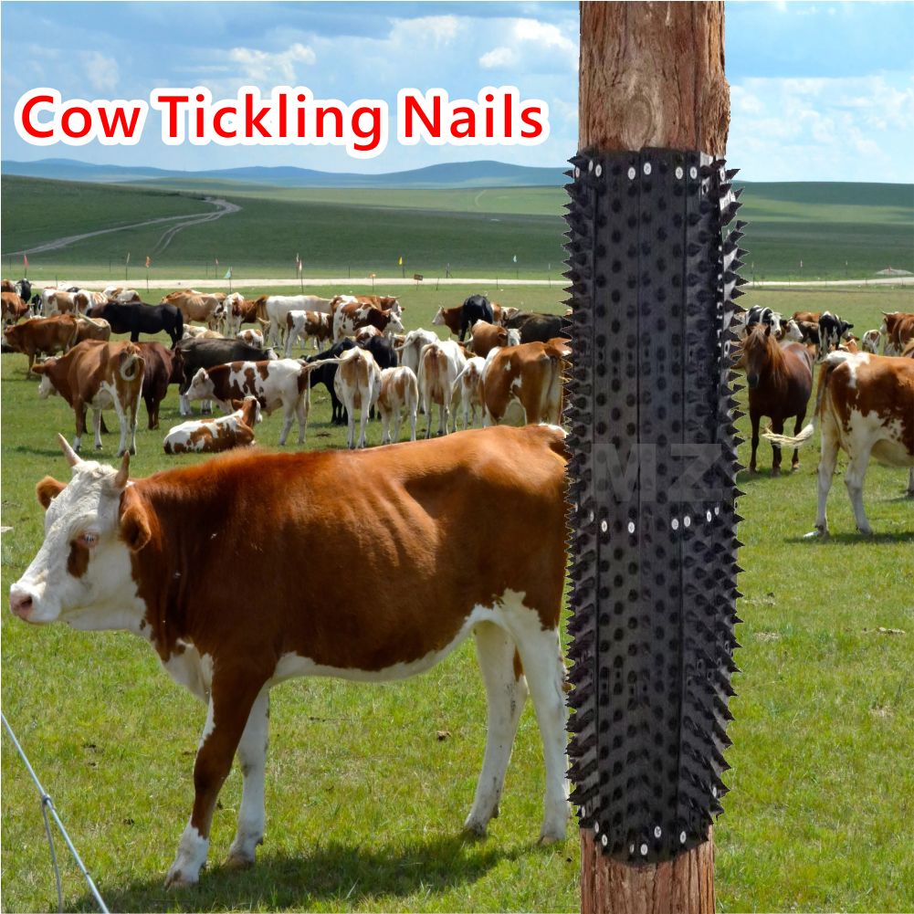 Plastic Cattle Brush Massage Brush Cattle Brush Spikes Cow Scratching ...