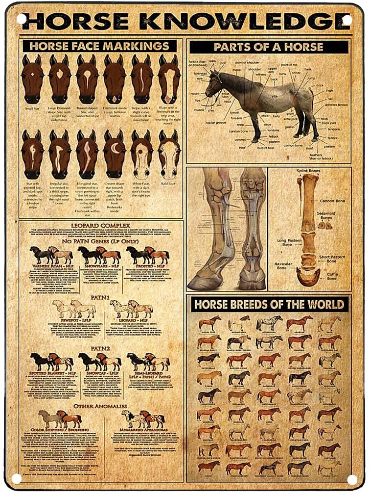 Horse Knowledge Vintage Metal Signs – myfunfarm